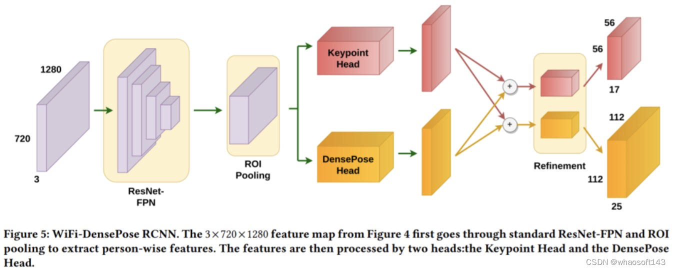 DensePose From WiFi-CSDN博客