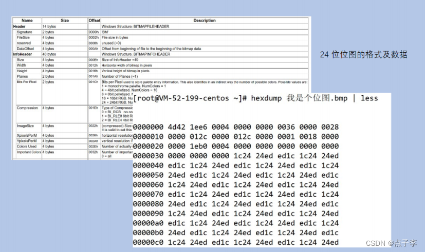Java的文件操作和iojava 文件io Csdn博客