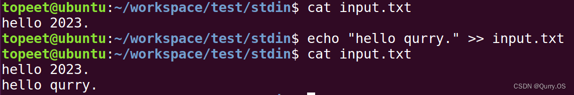 Linux输出重定向 Csdn博客 