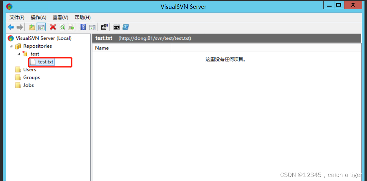 SVN服务器环境部署_svn部署到服务器-CSDN博客