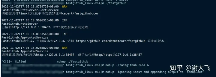 FastGithub下载及使用-CSDN博客