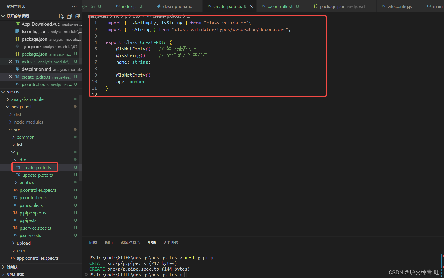 Nestjs 管道验证DTO_nestjs dto-CSDN博客