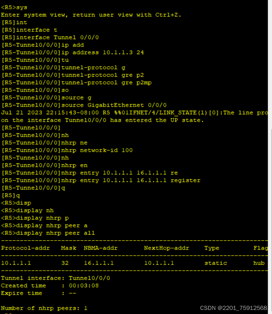 OSPF下的MGRE-CSDN博客