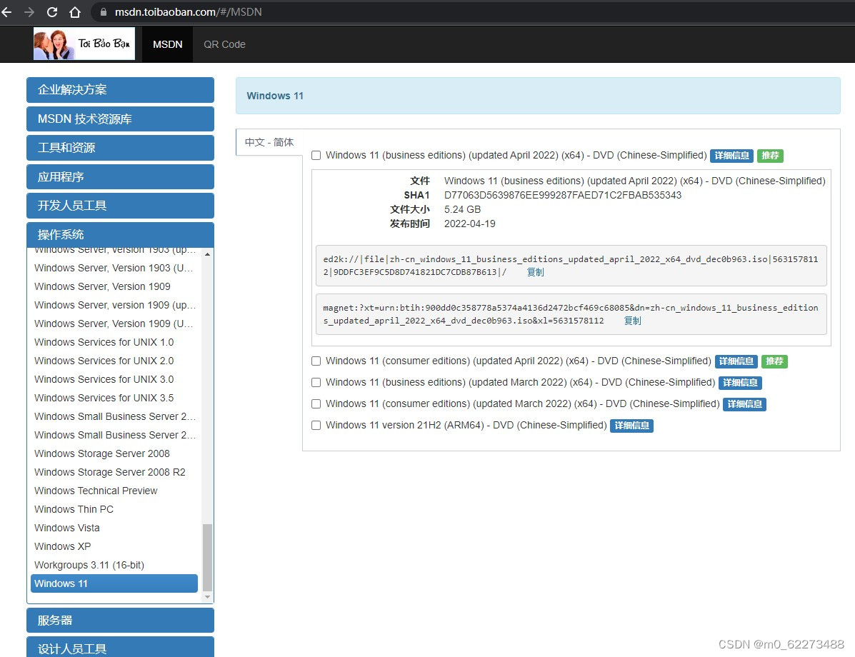 MSDN我告诉你 一个没有人注意的工具站_msdn没有win11-CSDN博客