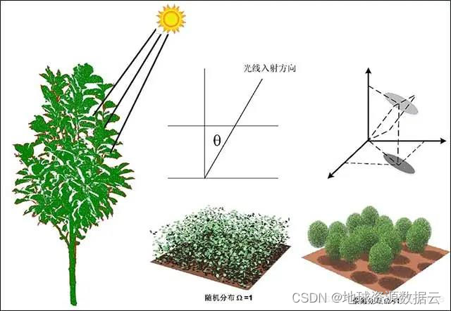 中国500米分辨率年平均LAI数据集（2000-2020）-CSDN博客