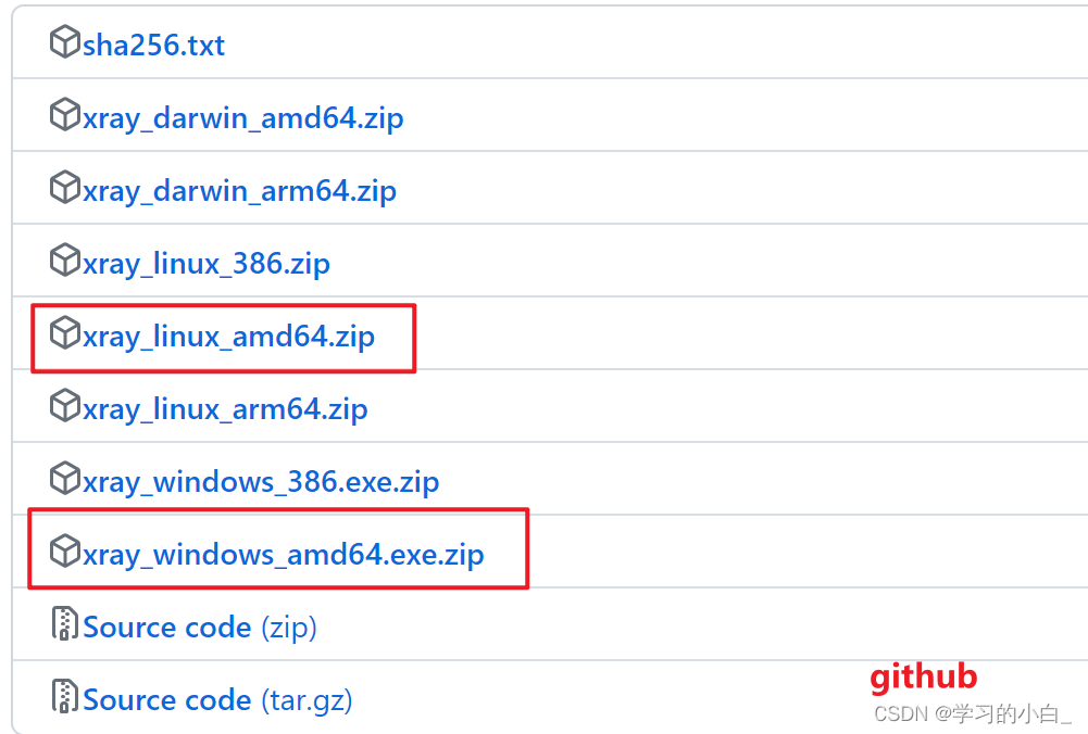 Xray——Windows及Linux安装_xray linux-CSDN博客