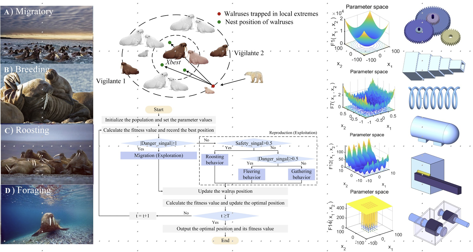 【智能优化算法】海象优化器(Walrus optimizer，WO)-CSDN博客