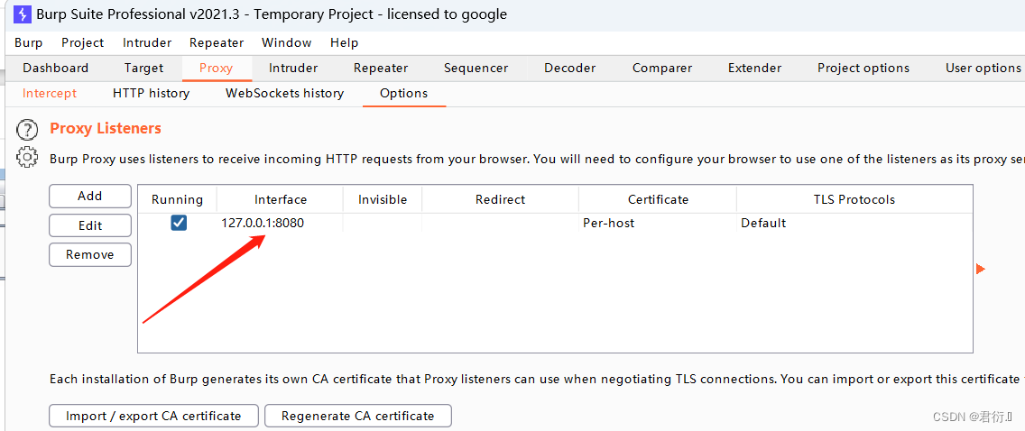 Web安全——Burp Suite基础上_burp suite 代理js-CSDN博客