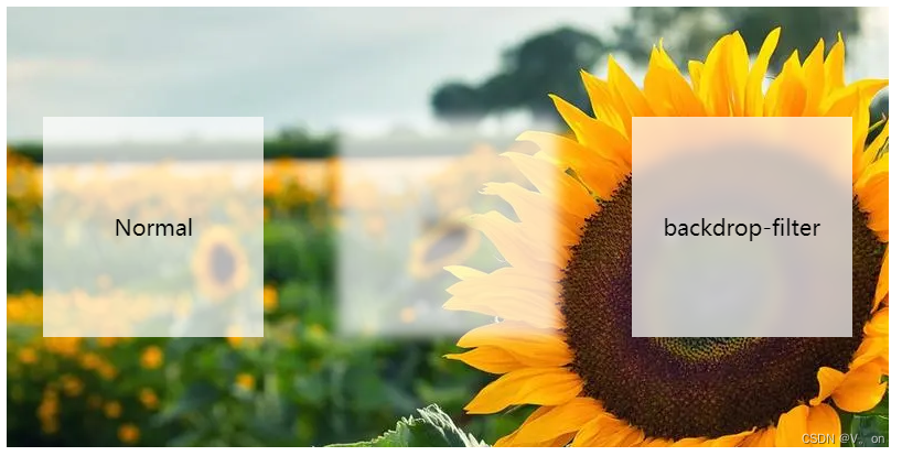 filter及backdrop-filter属性详解-CSDN博客