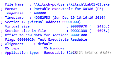 恶意代码分析实战_01静态分析基础知识_实验_恶意代码分析实战lab01-01-CSDN博客