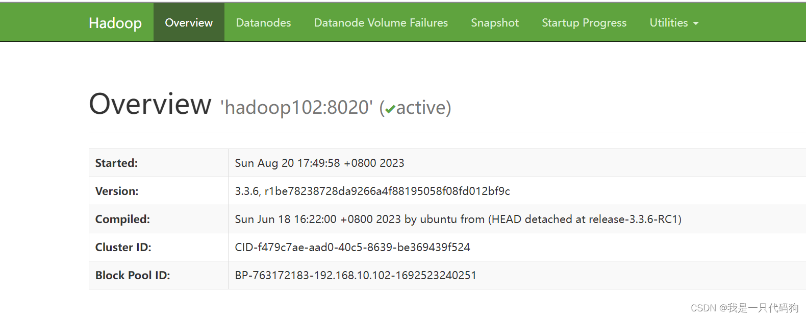 Hadoop三种模式部署与配置详解-CSDN博客