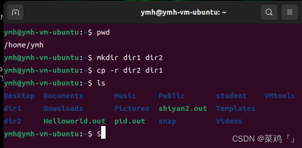 Linux操作系统文件与目录管理及编辑器使用-CSDN博客