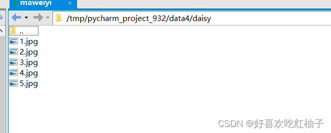 pytorch进阶学习（三）：在数据集数量不够时如何进行数据增强_pytorch数据增强-CSDN博客