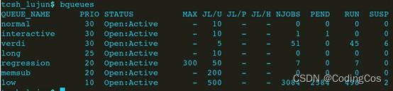 【芯片设计 - 常用工具 1 -- bsub 命令介绍】-CSDN博客