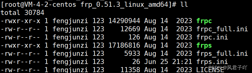内网穿透_frp的使用_natfrp怎么用-CSDN博客