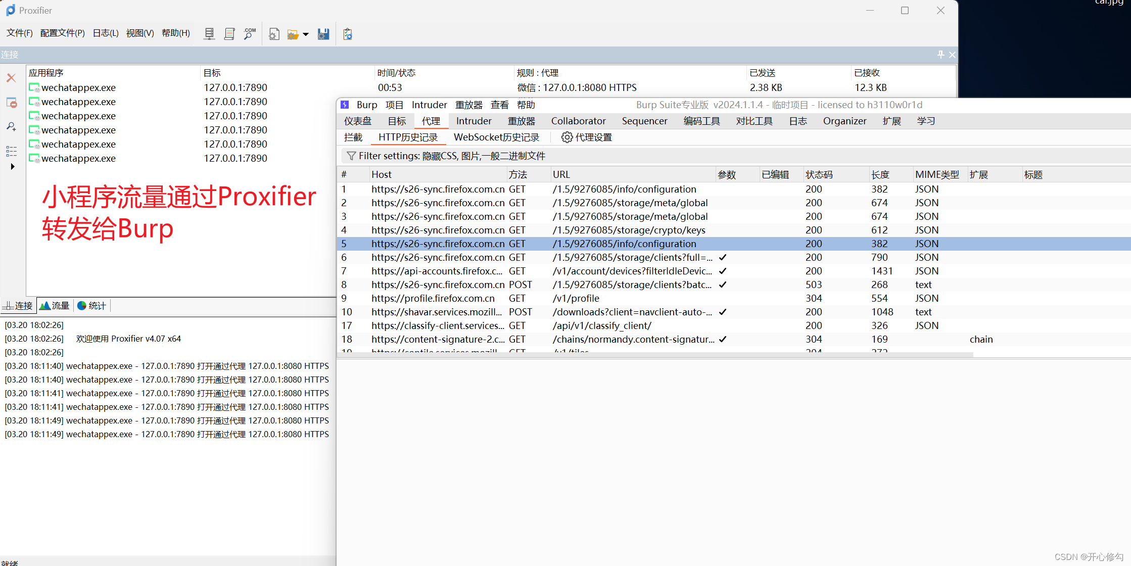 Proxifier与Burp联动 抓取PC端微信小程序_proxifile-CSDN博客