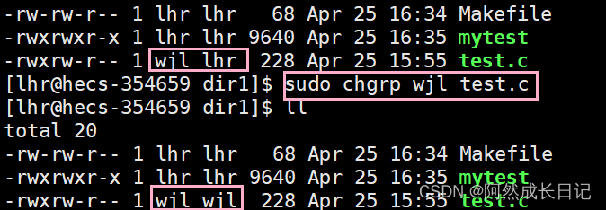【Linux】权限（rwx）及chmod、chown、chgrp修改权限等指令详解!-CSDN博客