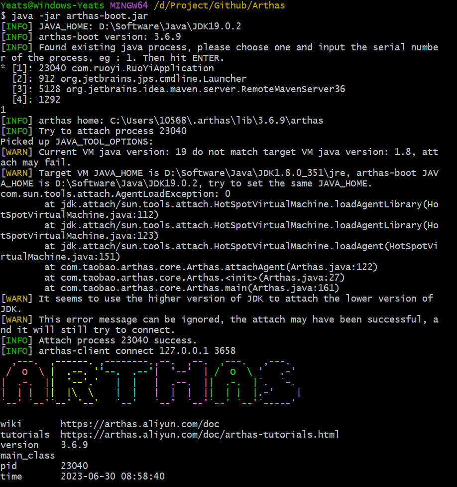 Arthas （阿尔萨斯）arthas-boot 方式安装及使用教程-CSDN博客