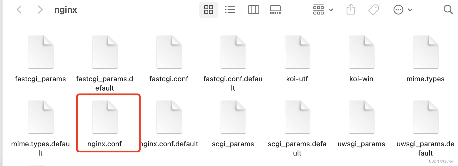 nginx部署本地umi build项目-CSDN博客