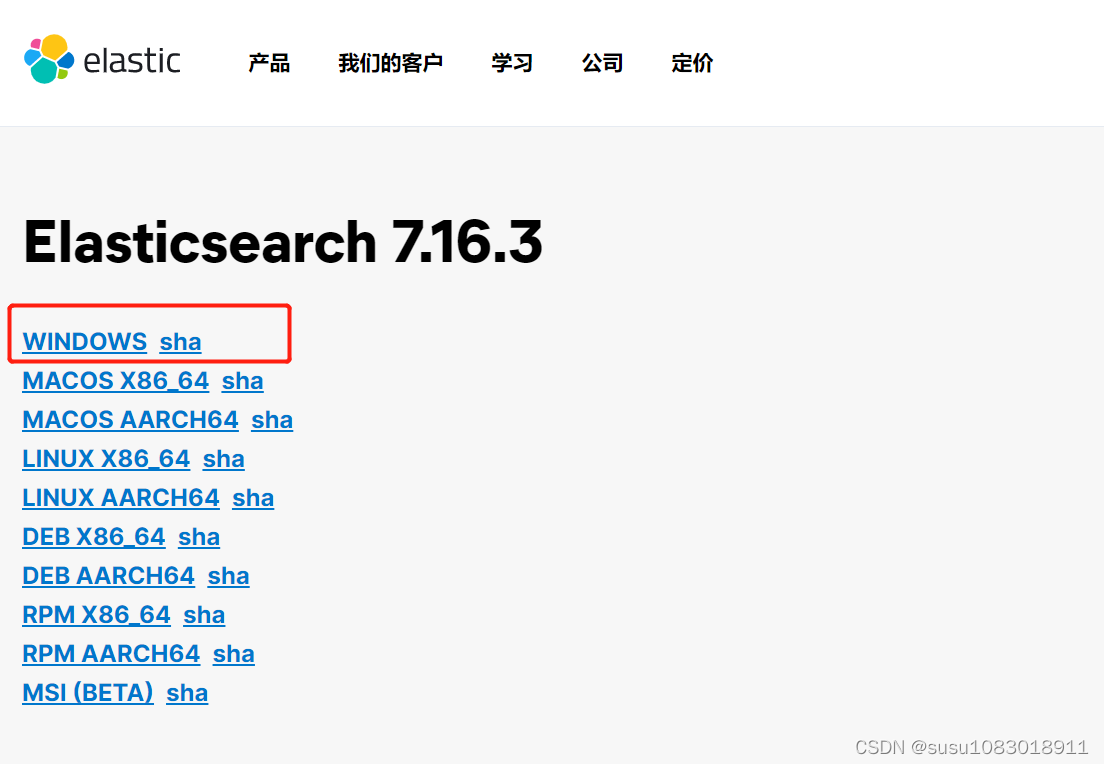 Windows系统安装Elasticsearch_elasticsearch 7.16 windows-CSDN博客