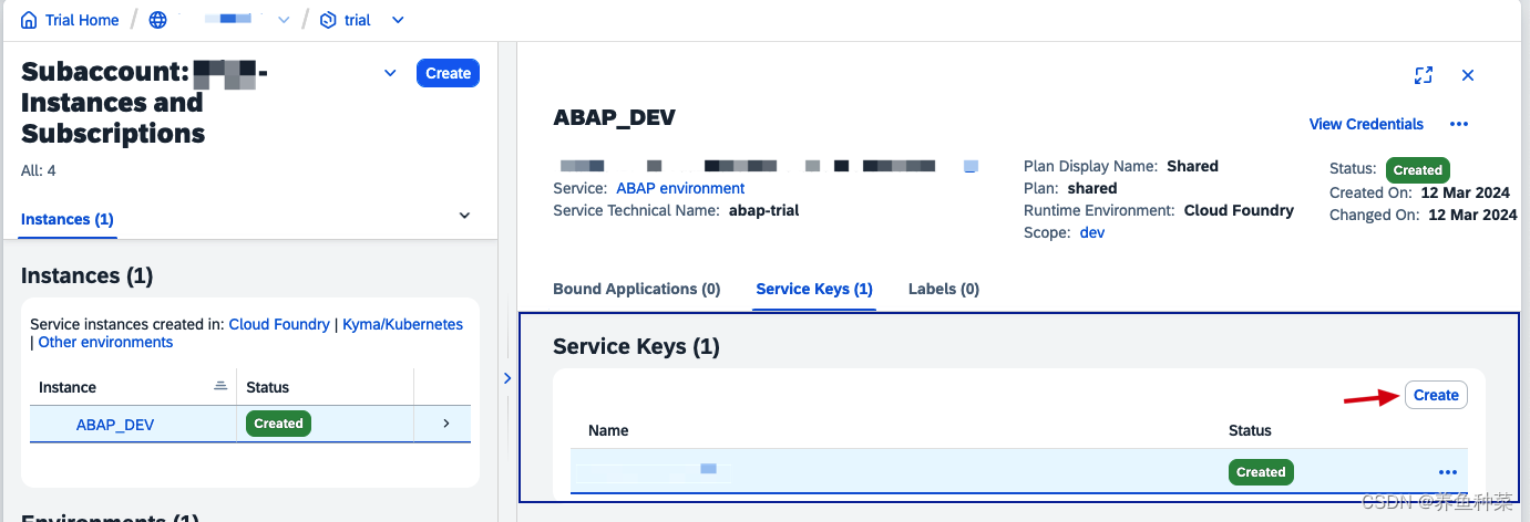 BTP上的ABAP开发（1）环境搭建_abap btp-CSDN博客
