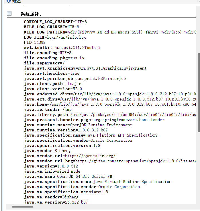 上心师傅的思路分享(二)--Druid monitor-CSDN博客