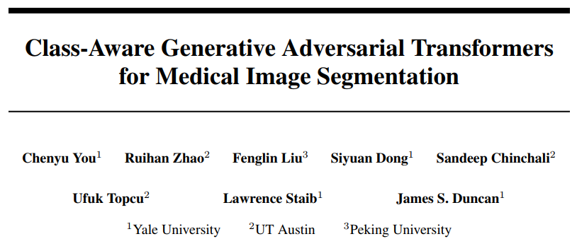 NeurIPS 2022 | CASTformer：用于医学图像分割的生成对抗Transformer模型-CSDN博客