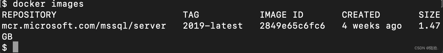 Mac利用docker安装sql Server并使用navicat可视化控制数据库mac Docker 安装sqlserver Csdn博客 2028