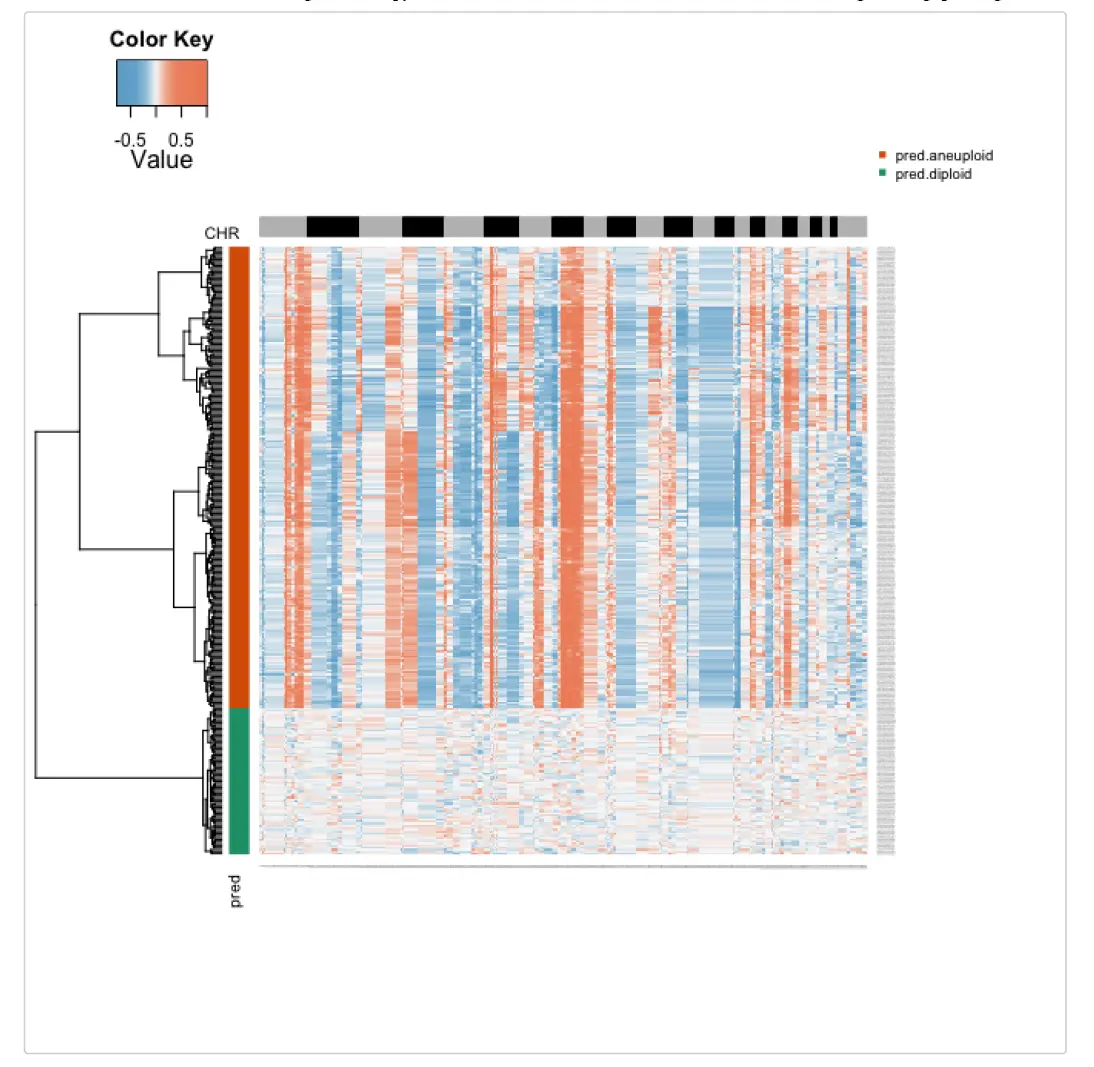 10X单细胞（10X空间转录组）CNV分析回顾之CopyKAT-CSDN博客