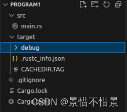 Linux中rust安装教程及vscode环境配置_rust配置linux-CSDN博客