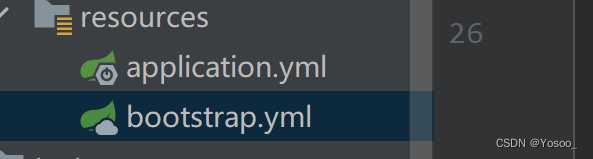 Idea报错:injection Of Autowired Dependencies Failed; Injection Of