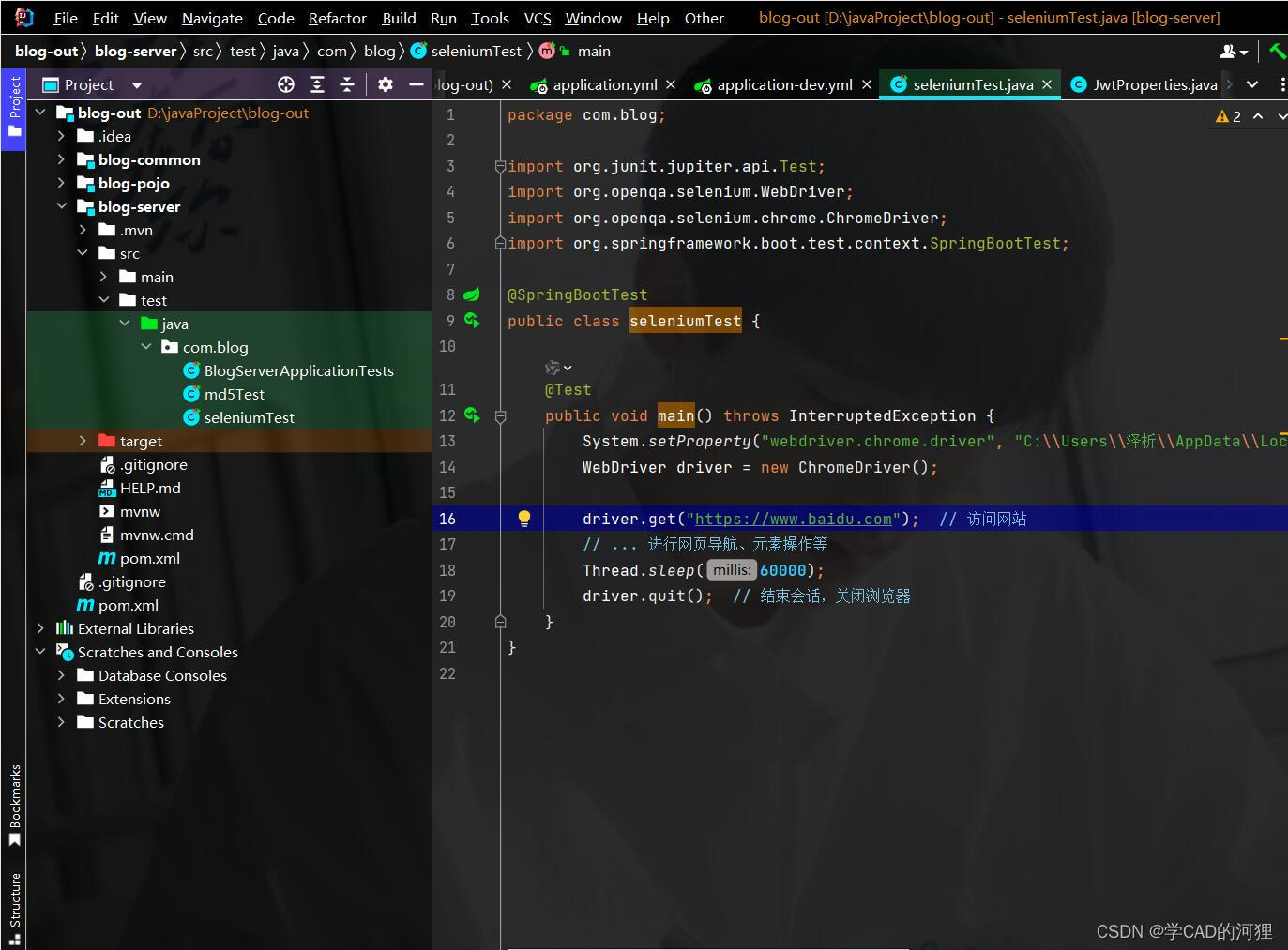 ChromeDriver / Selenium-server_chrome driver-CSDN博客