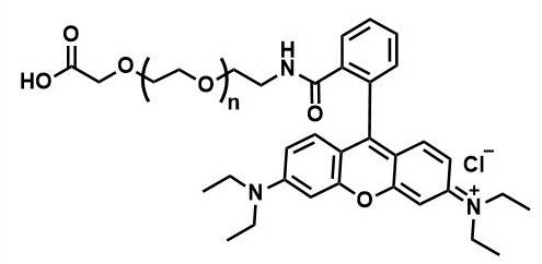 AA-PEG-RB，可以用来修饰蛋白质、多肽等，Rhodamine B-PEG-AA-CSDN博客