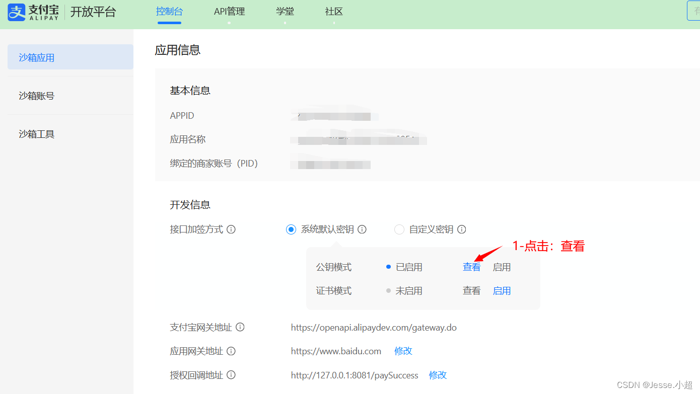 Springboot整合支付宝alipay-实现沙箱支付功能-详细_springcloud集成支付宝沙箱模拟支付-CSDN博客