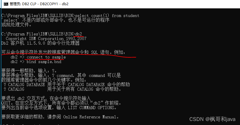 IBM db2数据库初体验(有图有真相保姆级教程)_db2安装-CSDN博客