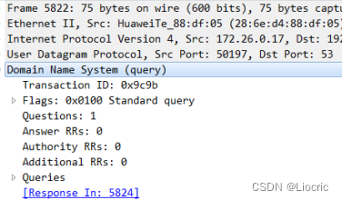 计算机网络实验：HTTP和DNS分析_考虑一下你的主机随后发送tcp syn segment,包含syn segment的ip分组头部中目 ...
