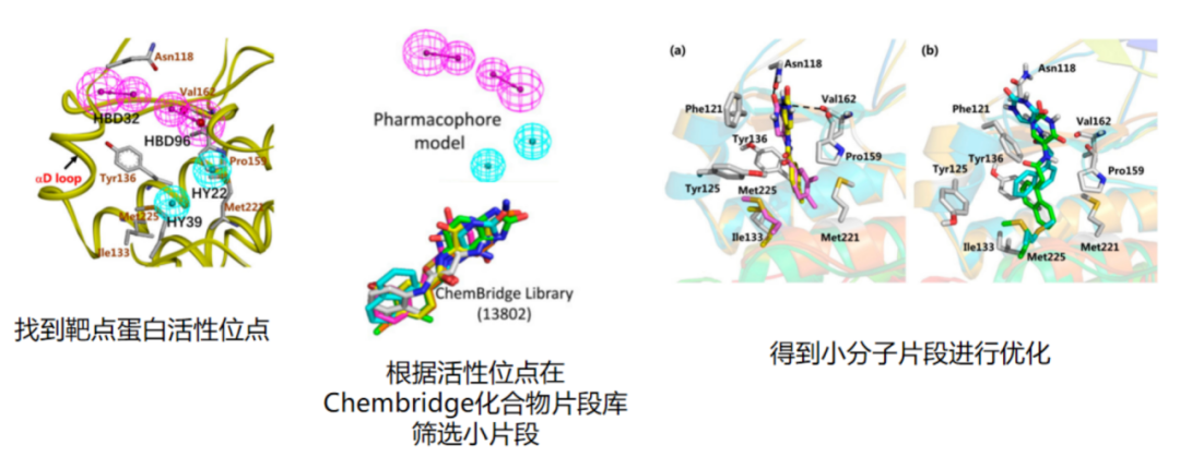 AbMole| ChemBridge活性官能团化合物片段助力新药研发_chembridge(化合物库)官网为什么进不去-CSDN博客