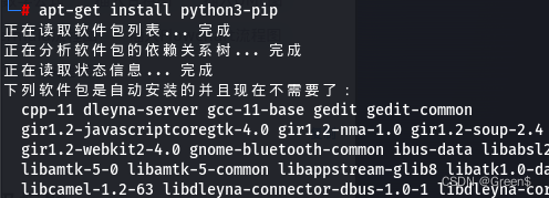解决kali linux pip2与pip3共存_kali python2和python3如何共存-CSDN博客