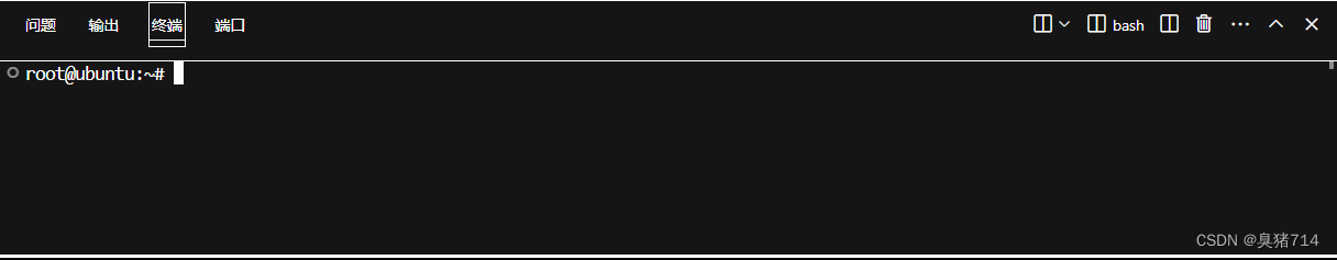 解决Permission Denied/搭建VSCode Remote SSH远程操作Ubuntu环境_vscode remote permission denied-CSDN博客