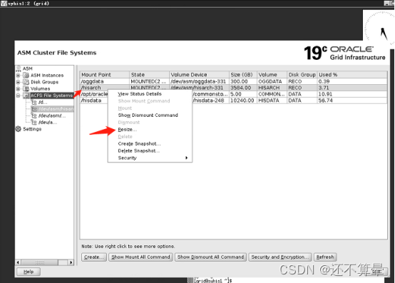 ACFS文件系统创建扩大缩小等配置步骤_acfs 文件系统重建-CSDN博客