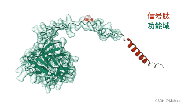 FGF7：药物耐受调控_fgf-7细胞受体-CSDN博客
