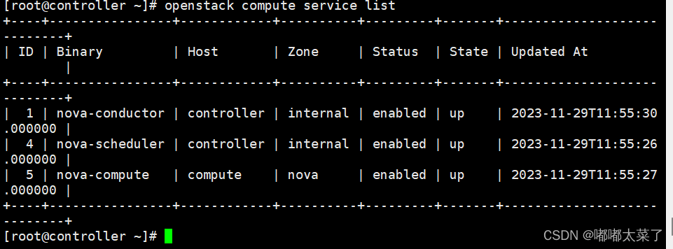 【Openstack Train安装】九、Nova安装-CSDN博客