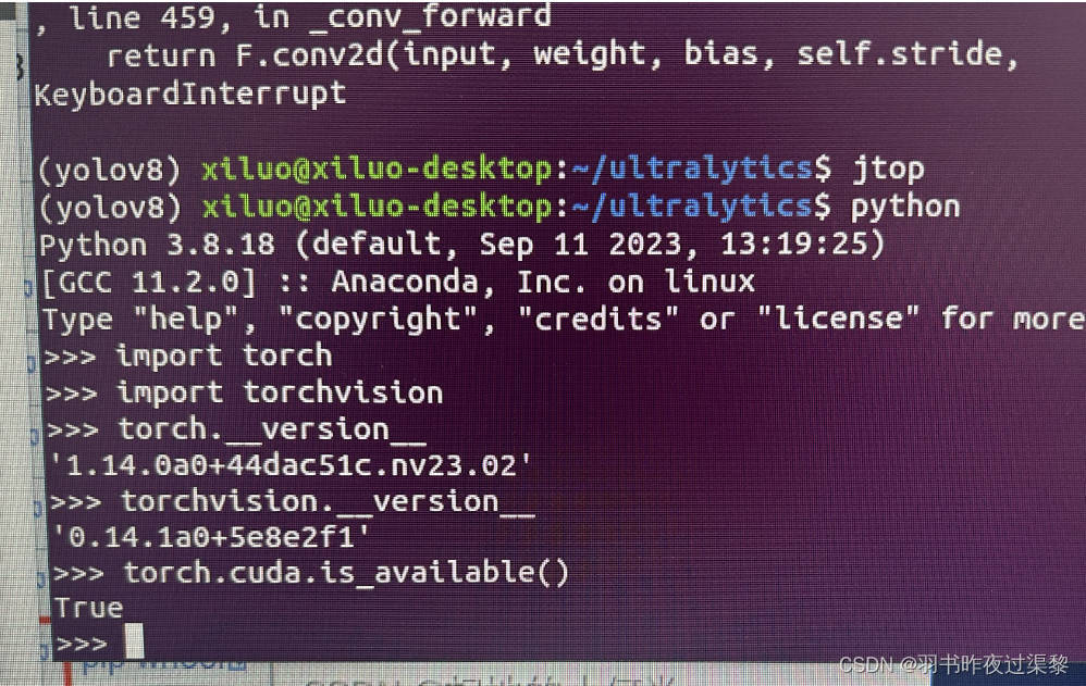 Jetson NX部署YOLOv8实现GPU加速_yolov8部署nx-CSDN博客