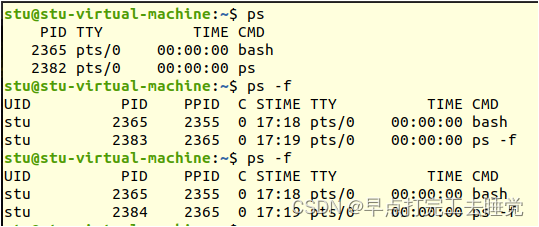 Linux Day09-CSDN博客