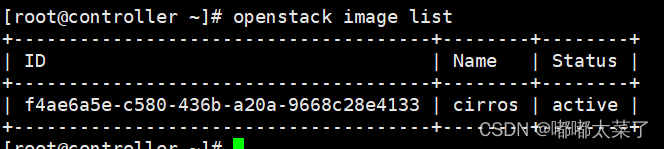 【Openstack Train安装】九、Nova安装-CSDN博客