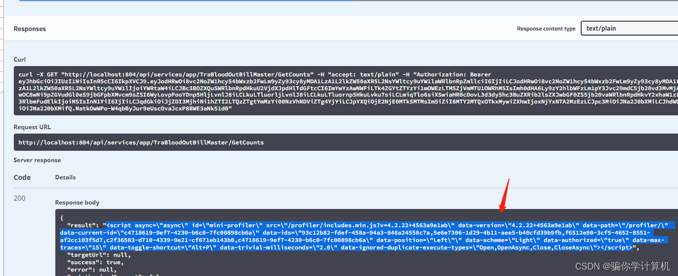 MiniProfiler与Swagger集成--netcore/ABP_miniprofiler swagger-CSDN博客