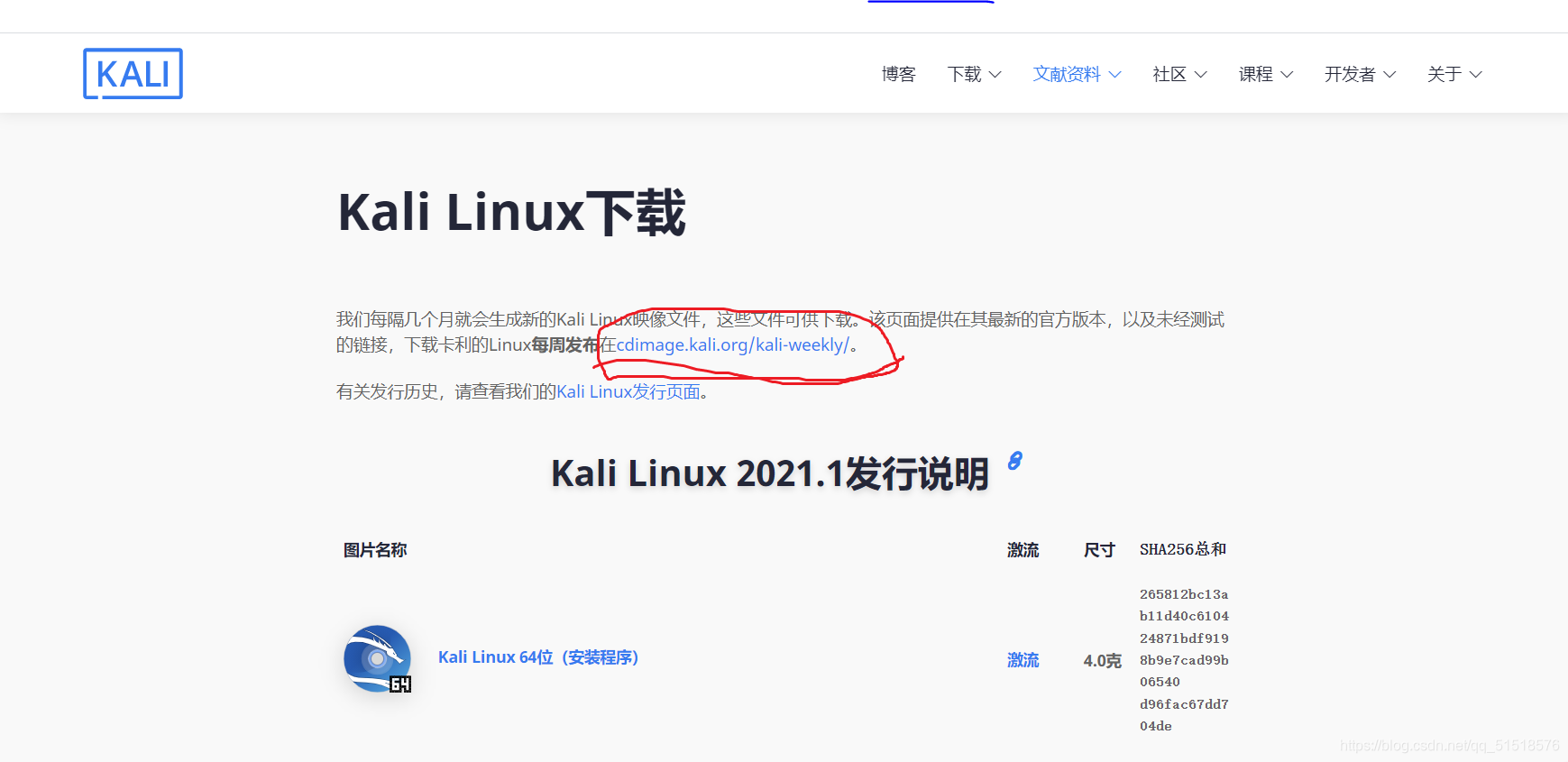 Kali Linux——小白安装过程（2021）_kali2021下载-CSDN博客