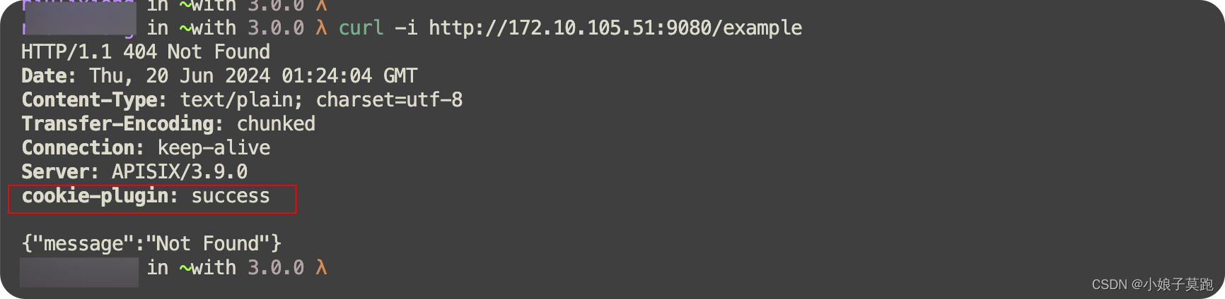 使用lua开发apisix自定义插件并发布apisix Lua Csdn博客