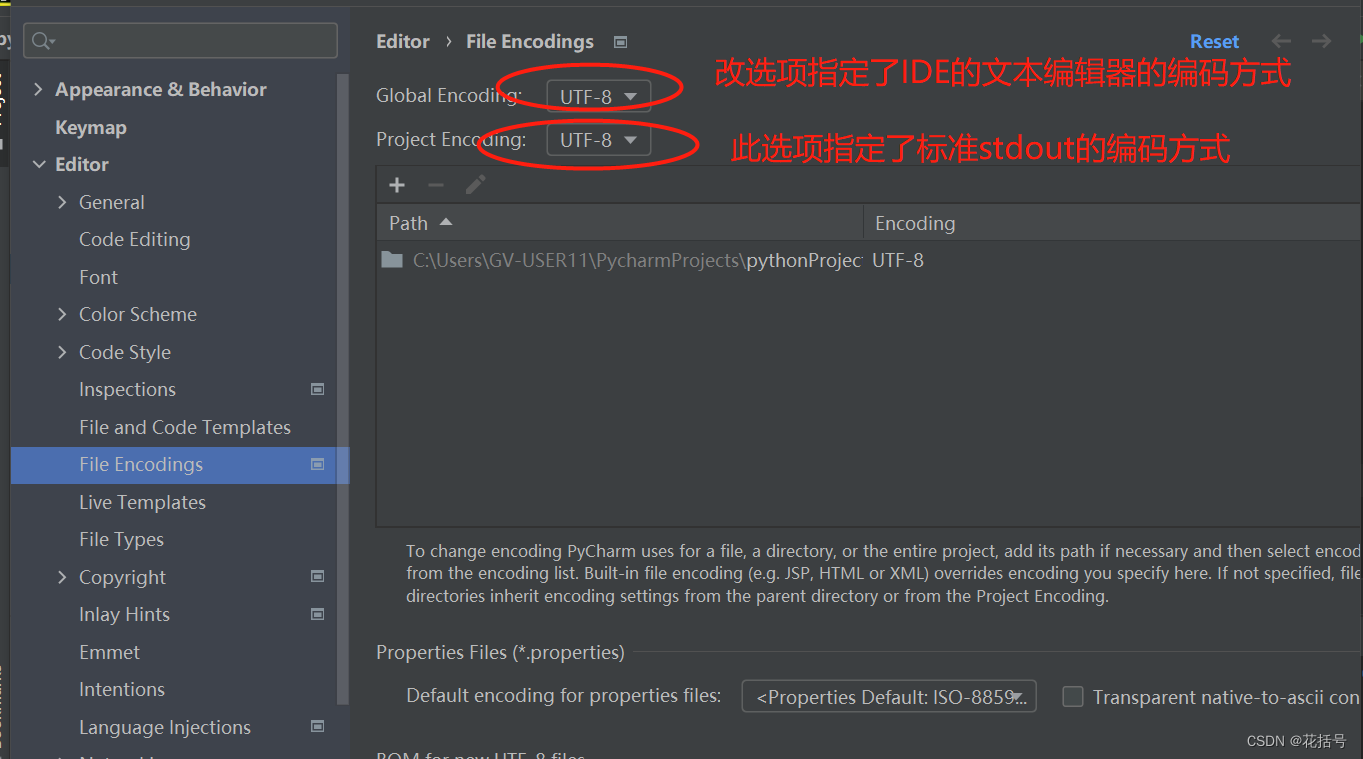 PYCHARM 编码问题_unicodeencodeerror: 'gbk' codec can't encode chara-CSDN博客